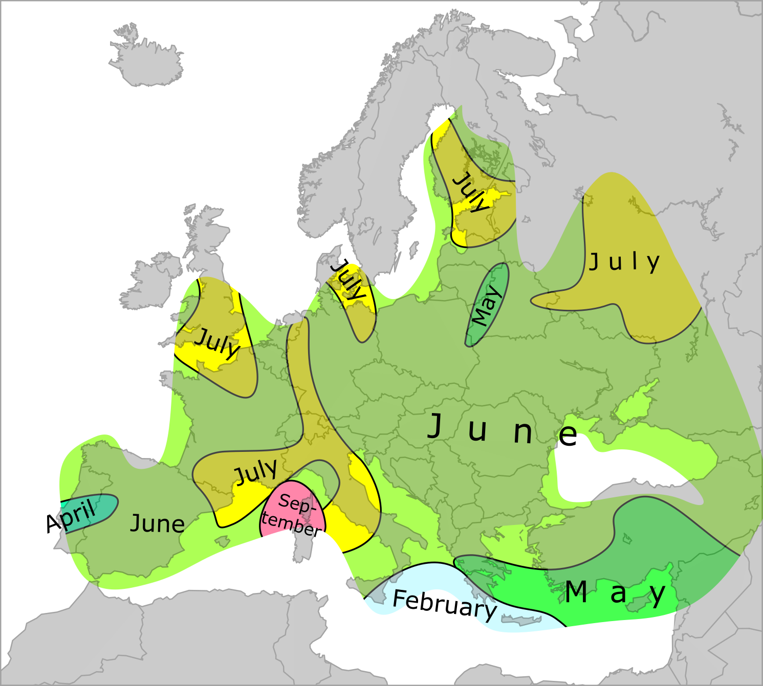 Large hail impacts across Europe | European Severe Storms Laboratory