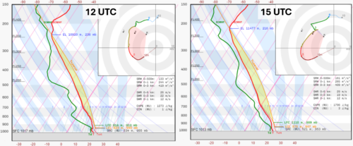 Meteorological analysis of extreme flash flood situation in the ...